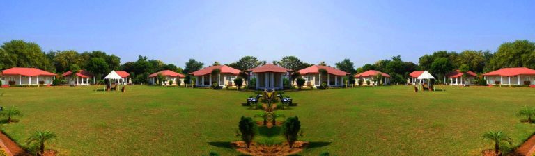 Tiger Den Resort Hotel - Wildlife Excursion
